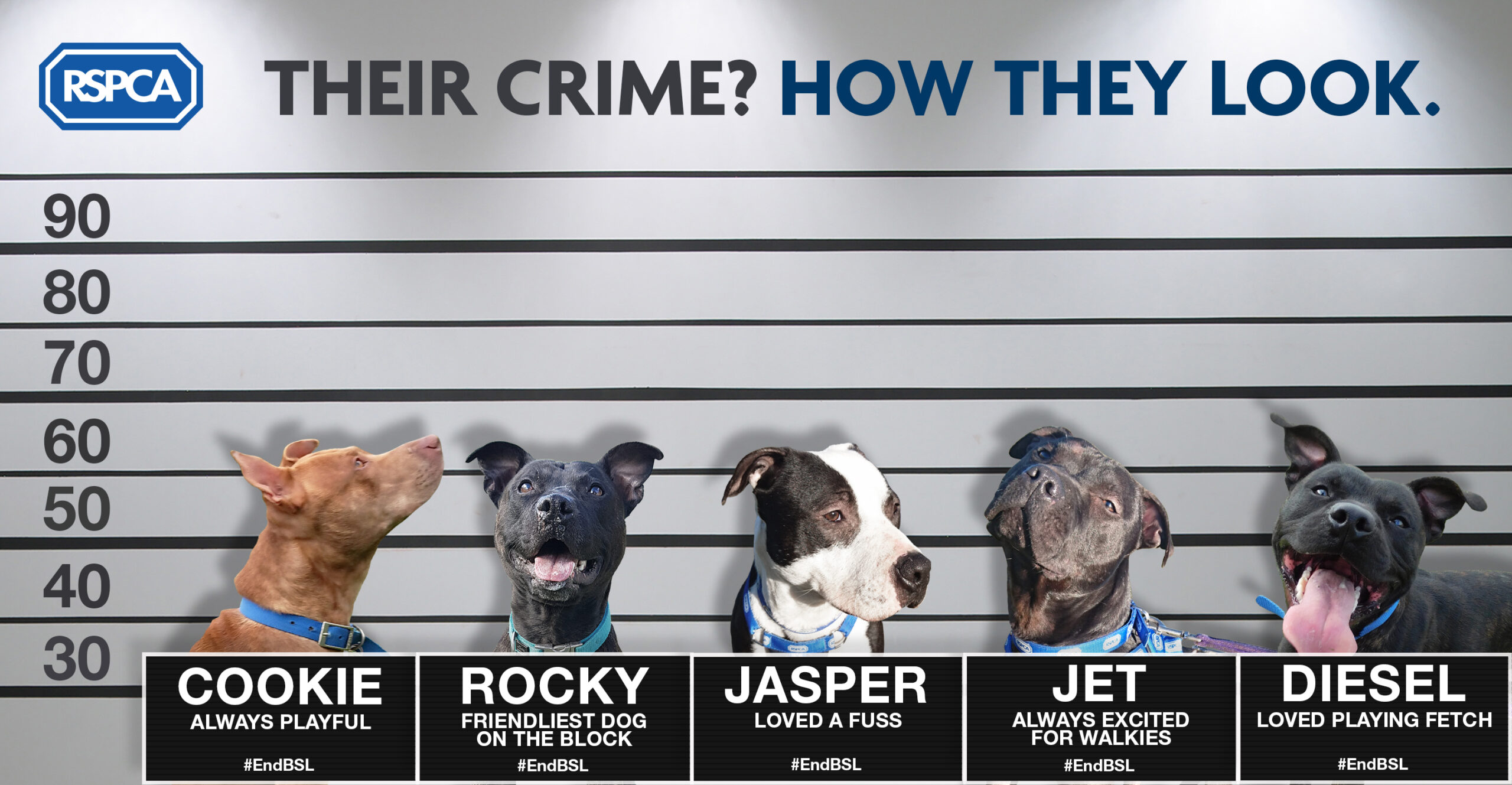 The Truth About Breed-Specific Legislation | Giant Breeds